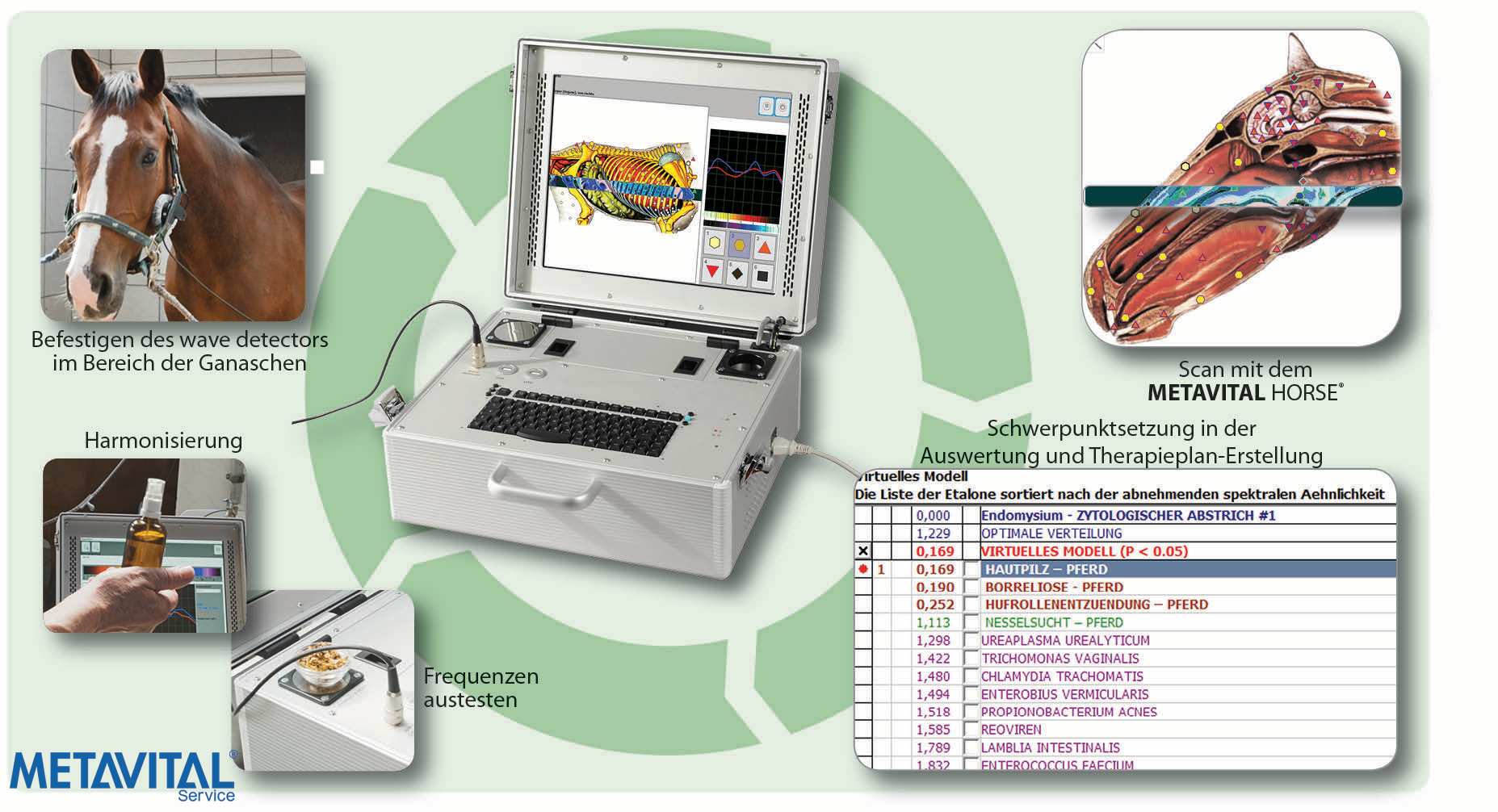 Systemanalyse und Behandlung mit MNLS – www.ulrikeadrian.com